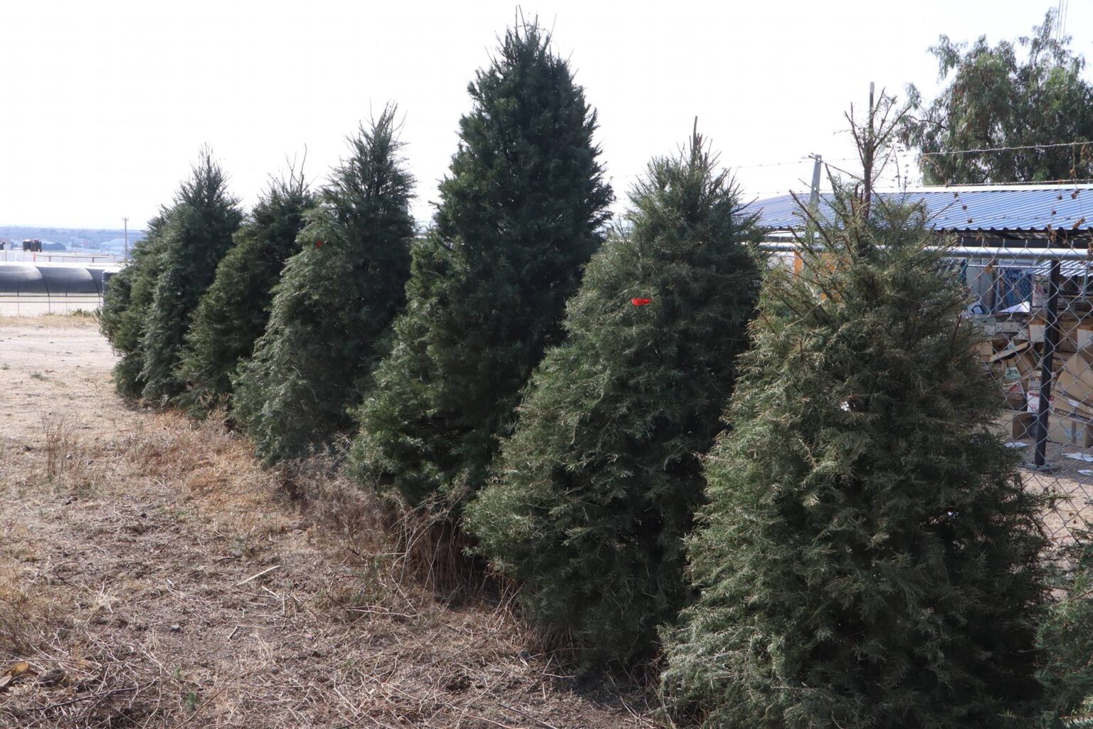 Julio Menchaca Encabeza Primera Reunión De Gabinete Estatal De 2026 Con ...