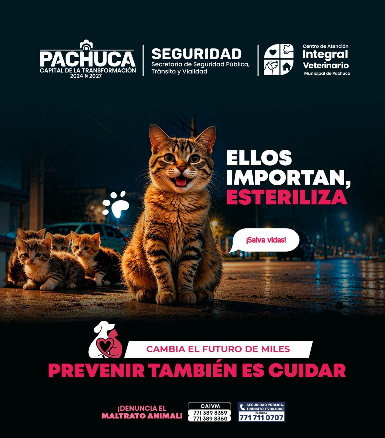 ACTOPAN archivos - Hidalgo noticias | Pachuca hoy